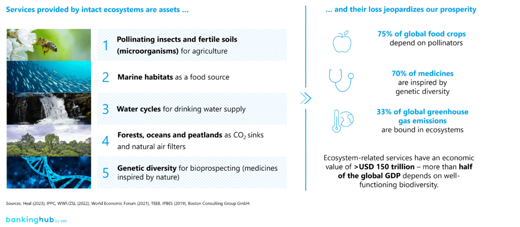 Interest rate turnaround 2.0 and the role of banks in the biodiversity ...